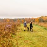 Redstone VT - Property Management in Burlington and Northern Vermont